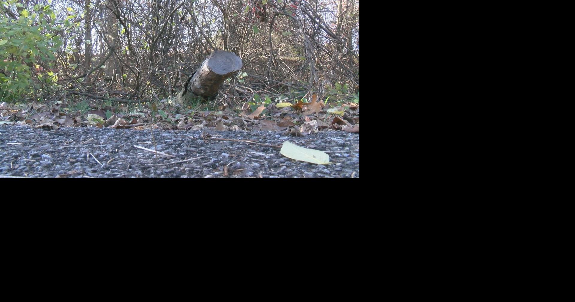 Fort Wayne highlights trails on 'Take a Hike Day' ahead of winter ...