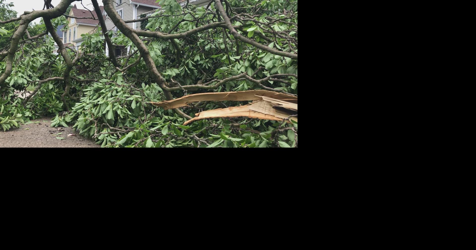 City of Fort Wayne storm debris collection ends August 19 | Indiana ...
