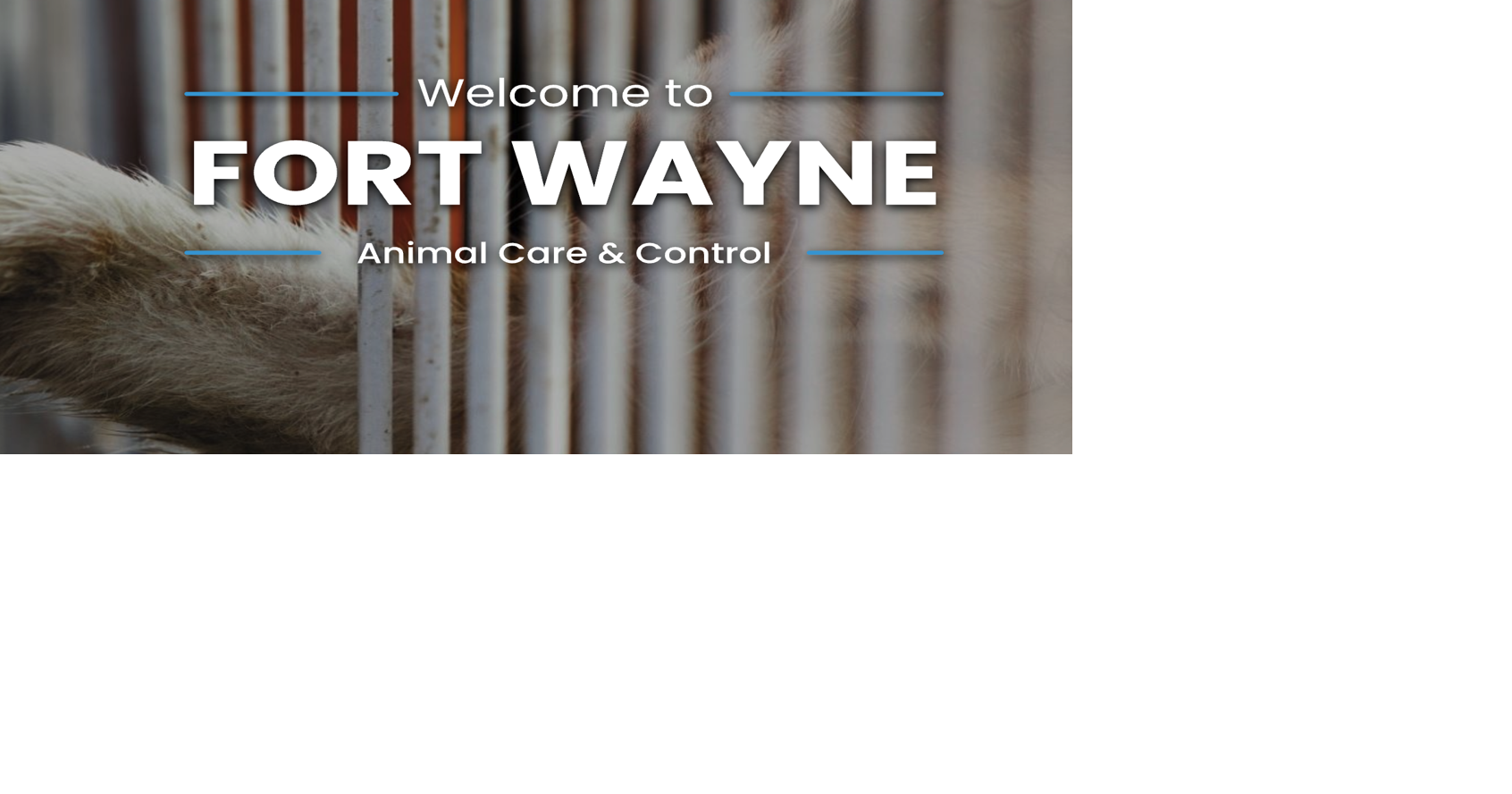 Fort Wayne shelter offers new app to ease pet adoption process | News ...