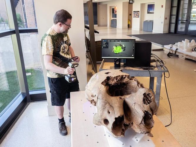 Home of the mastodons: Purdue Fort Wayne showcases permanent display for mastodon bones | Local ...