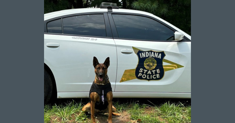 ISP K9 officer receives body armor donation | Local | wfft.com