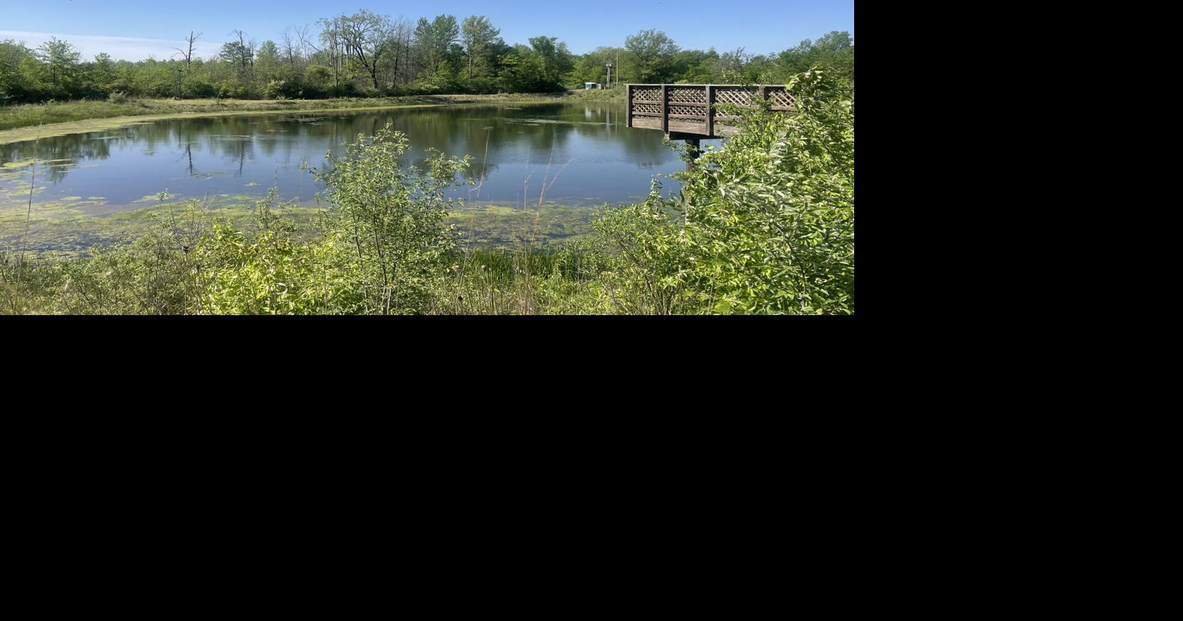 City Utilities offering free tours of local wetlands | Local | wfft.com