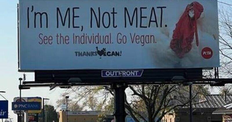 PETA Thanksgiving campaign asking Hoosiers to ditch turkey for vegan ...