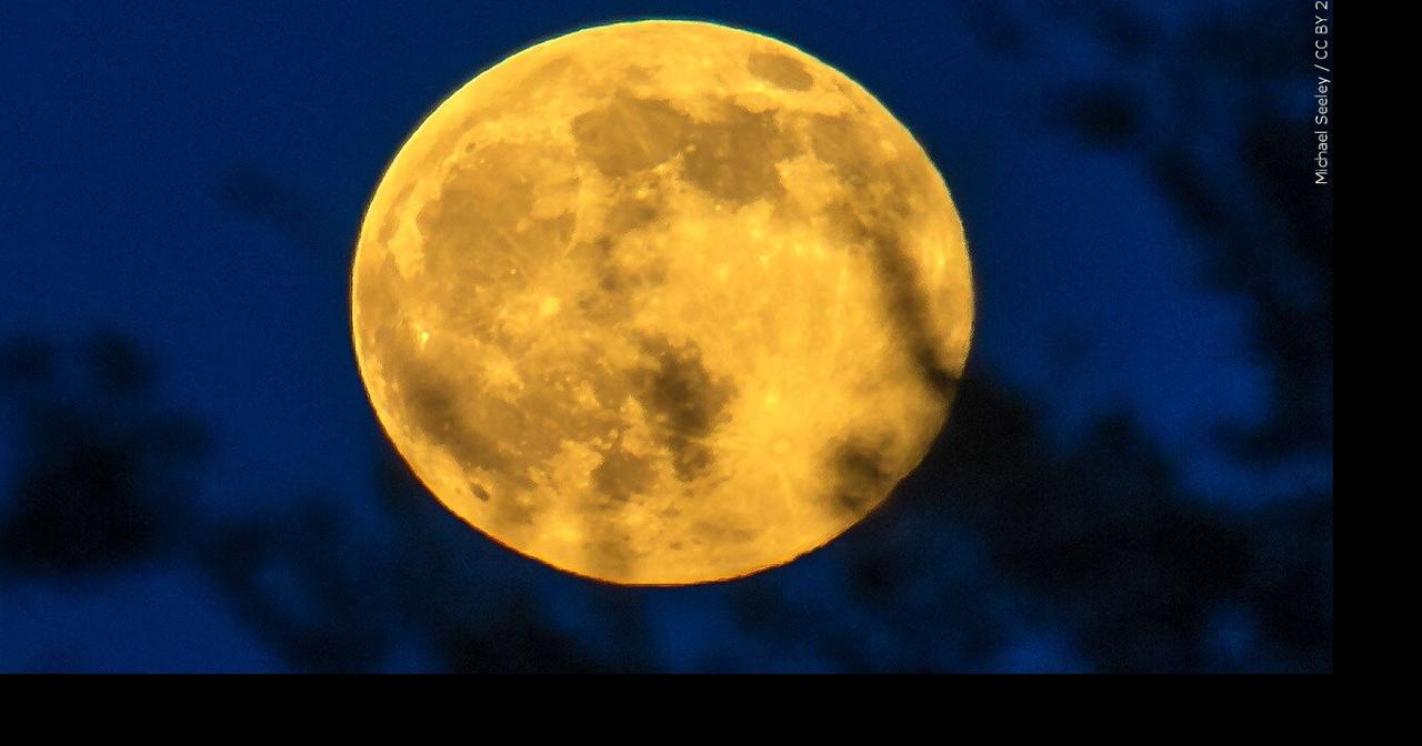 Here’s how to see the upcoming worm moon lunar eclipse | News | wfft.com