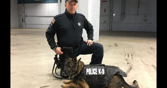 FWPD mourns death of Police K9 Django | Local | wfft.com
