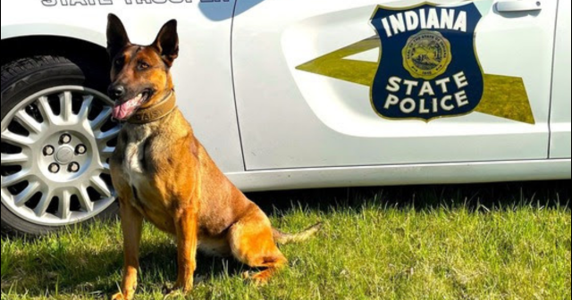 ISP K-9 Daisy to receive donation of body armor | Animals | wfft.com
