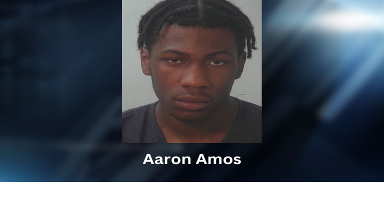 Fort Wayne man arrested for allegedly shooting a person in the head ...