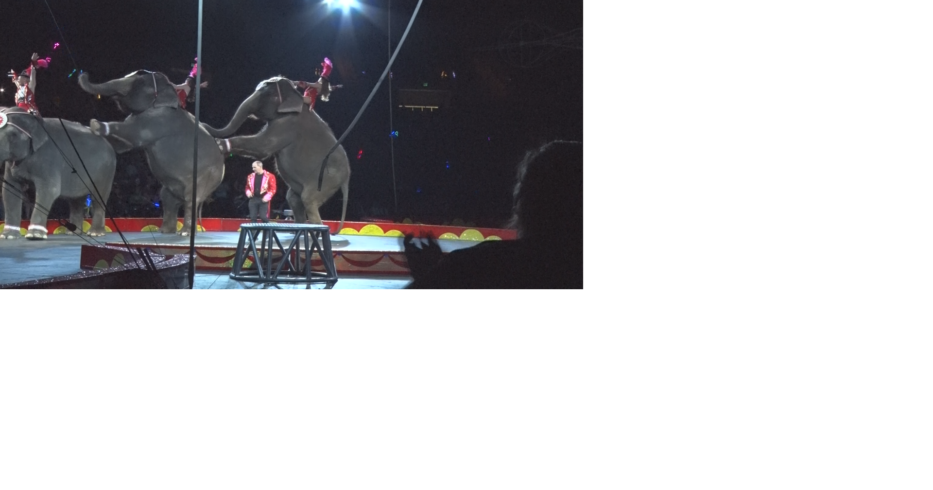Mizpah Shrine Circus returning to Fort Wayne | Local | wfft.com