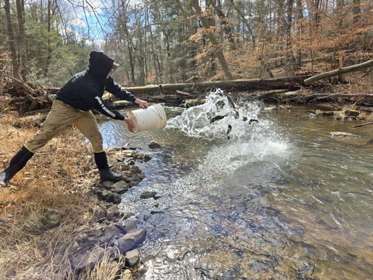 Pennsylvania releases 2026 trout stocking schedule | Pennsylvania News ...