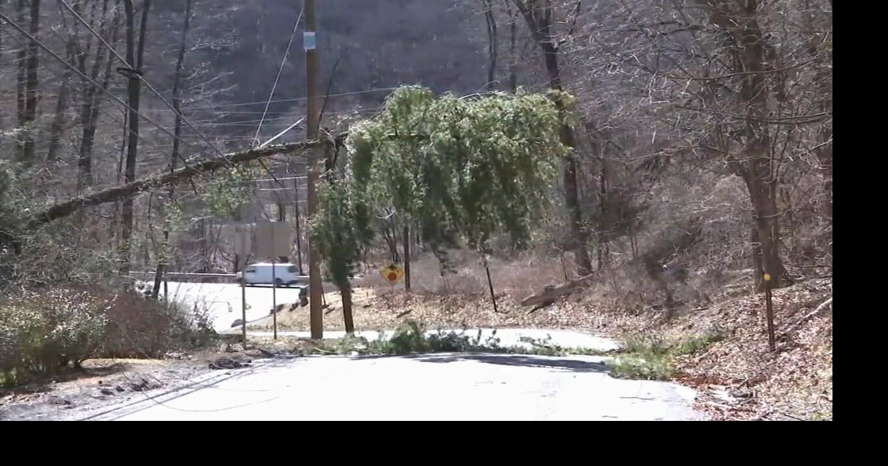 Trees, power lines downed Monday as high winds buffet region; power ...