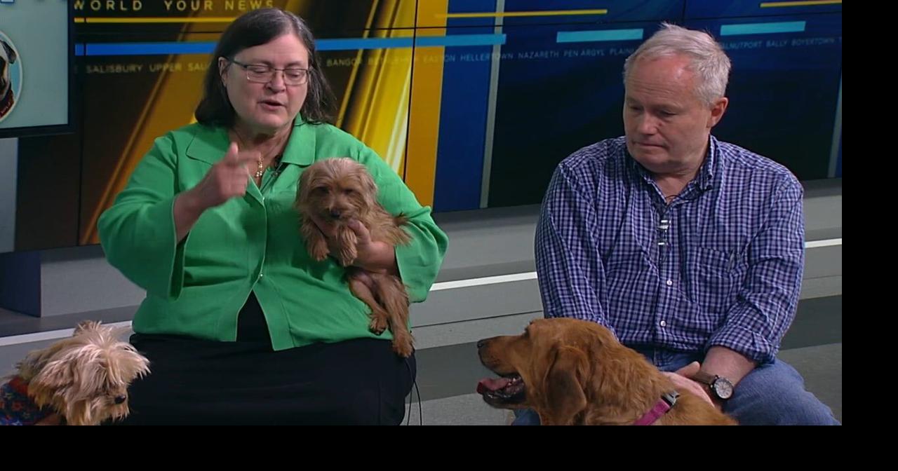 Pets of the Month: Beatrice & Minnie | 69News at Sunrise | wfmz.com
