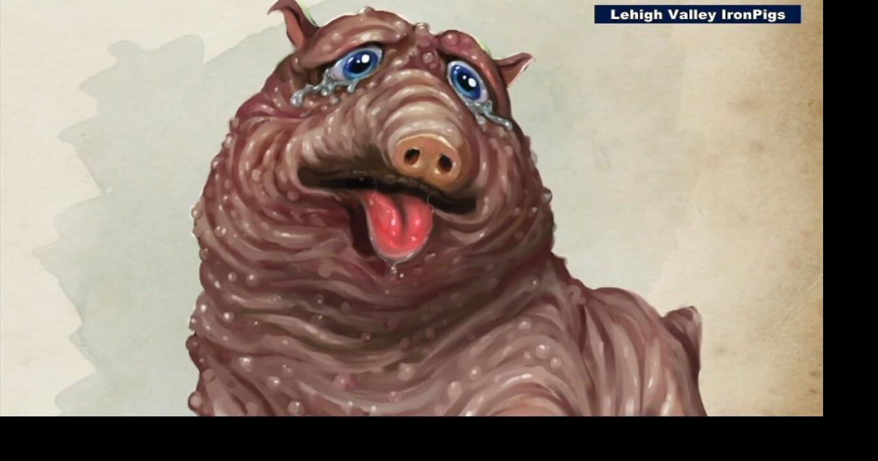 What in the world is a Squonk? IronPigs embrace Pa.’s saddest mythical ...