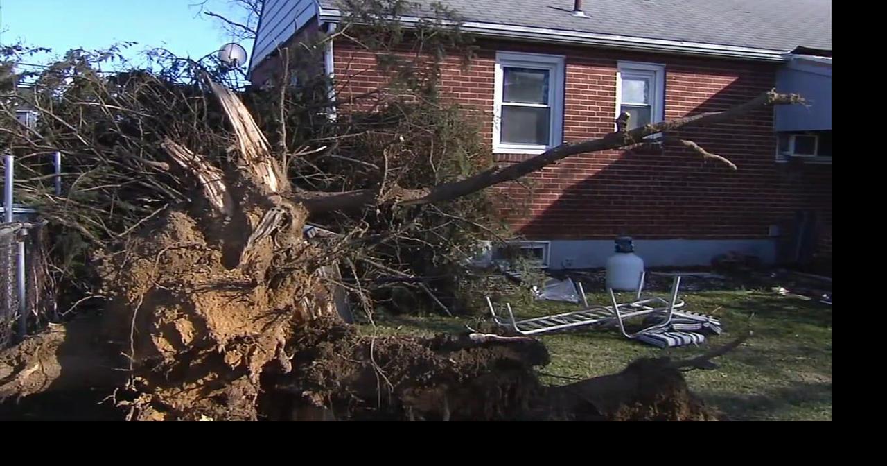 Downed trees, fallen power lines block roads in Lehigh Valley, after ...