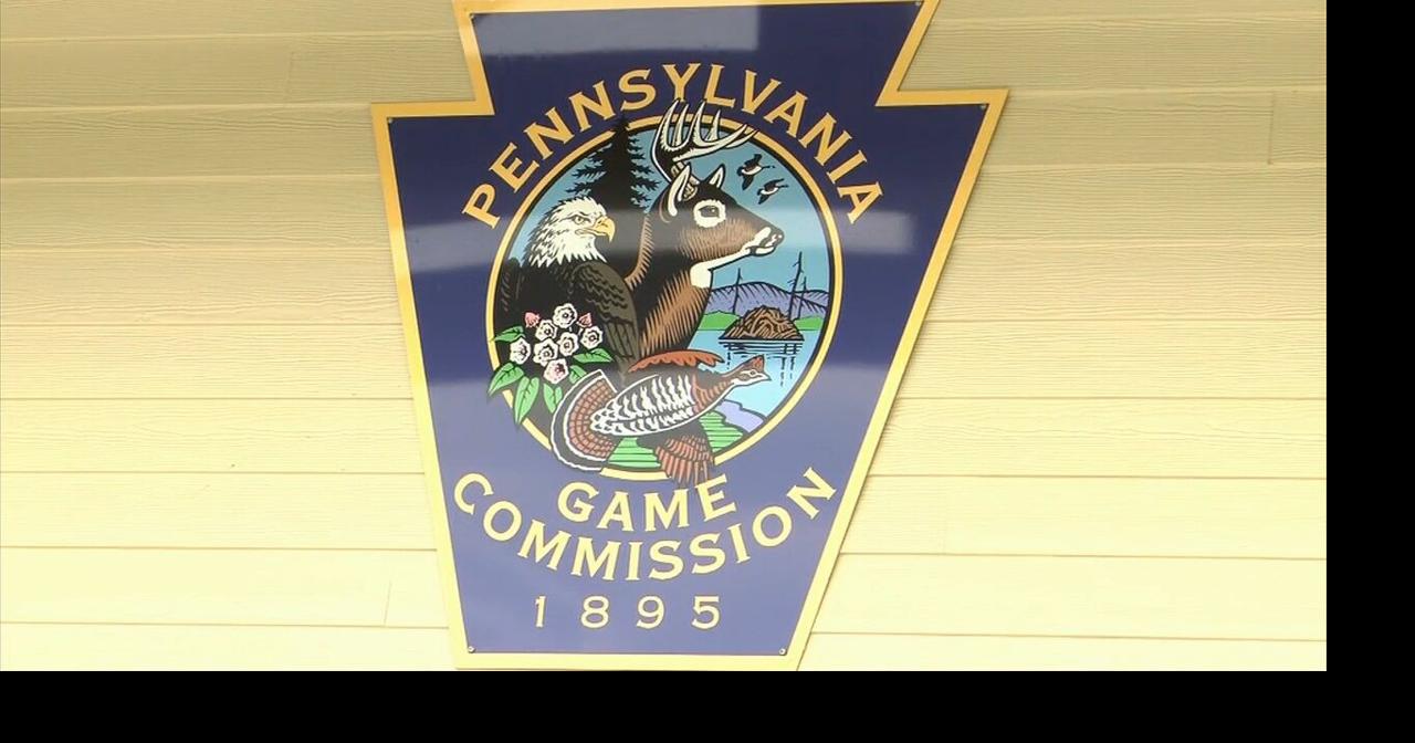 Pa. Game Commission sets 2024-25 migratory game bird seasons, bag ...