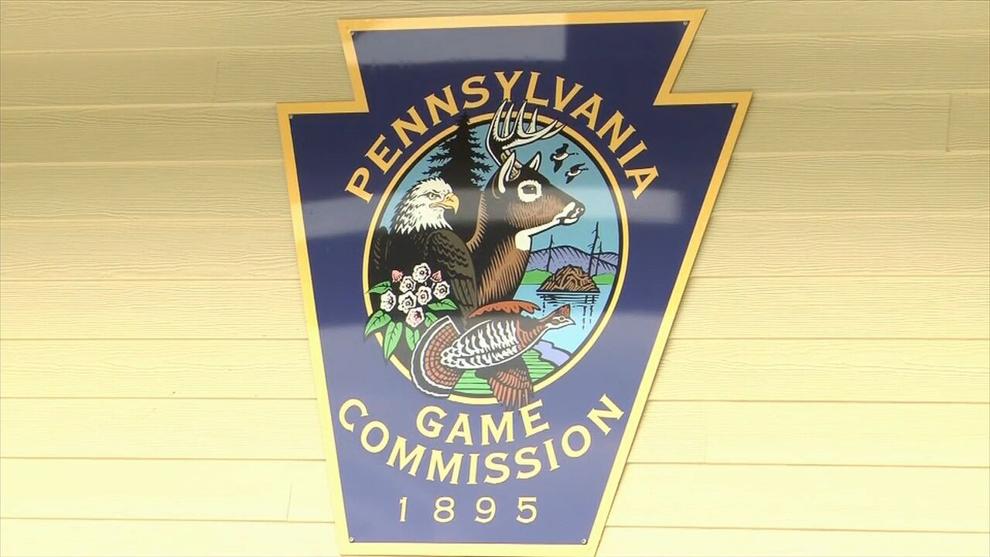Pa. Game Commission sets 2024-25 migratory game bird seasons, bag ...