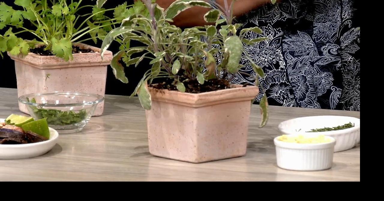 Nutritionist shows how to grow, use herbs this summer season | 69News ...
