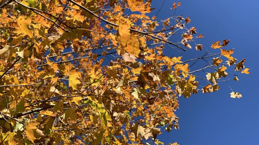 Berks' top fall foliage spots offer 'spectacular view' | Berks Regional ...