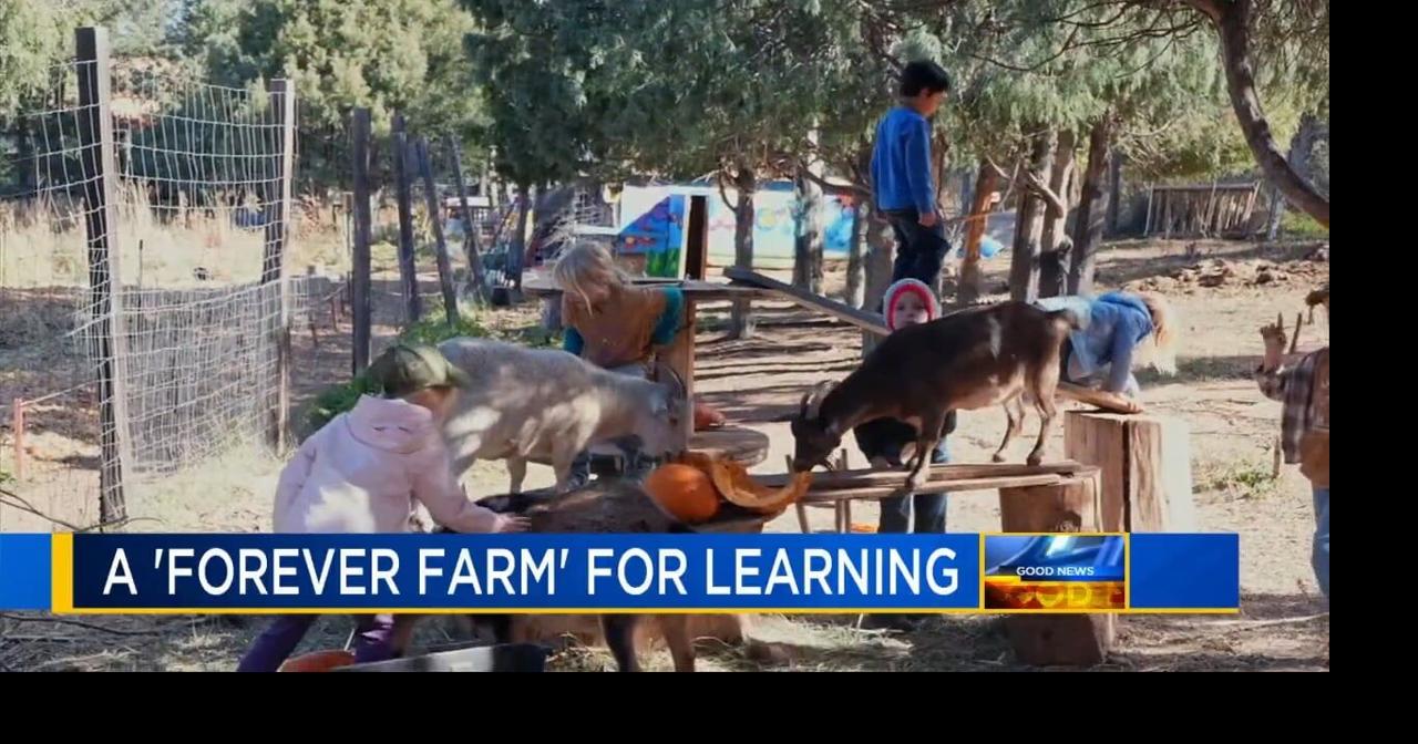 Program gets students out of the classroom and into the farm | Good ...