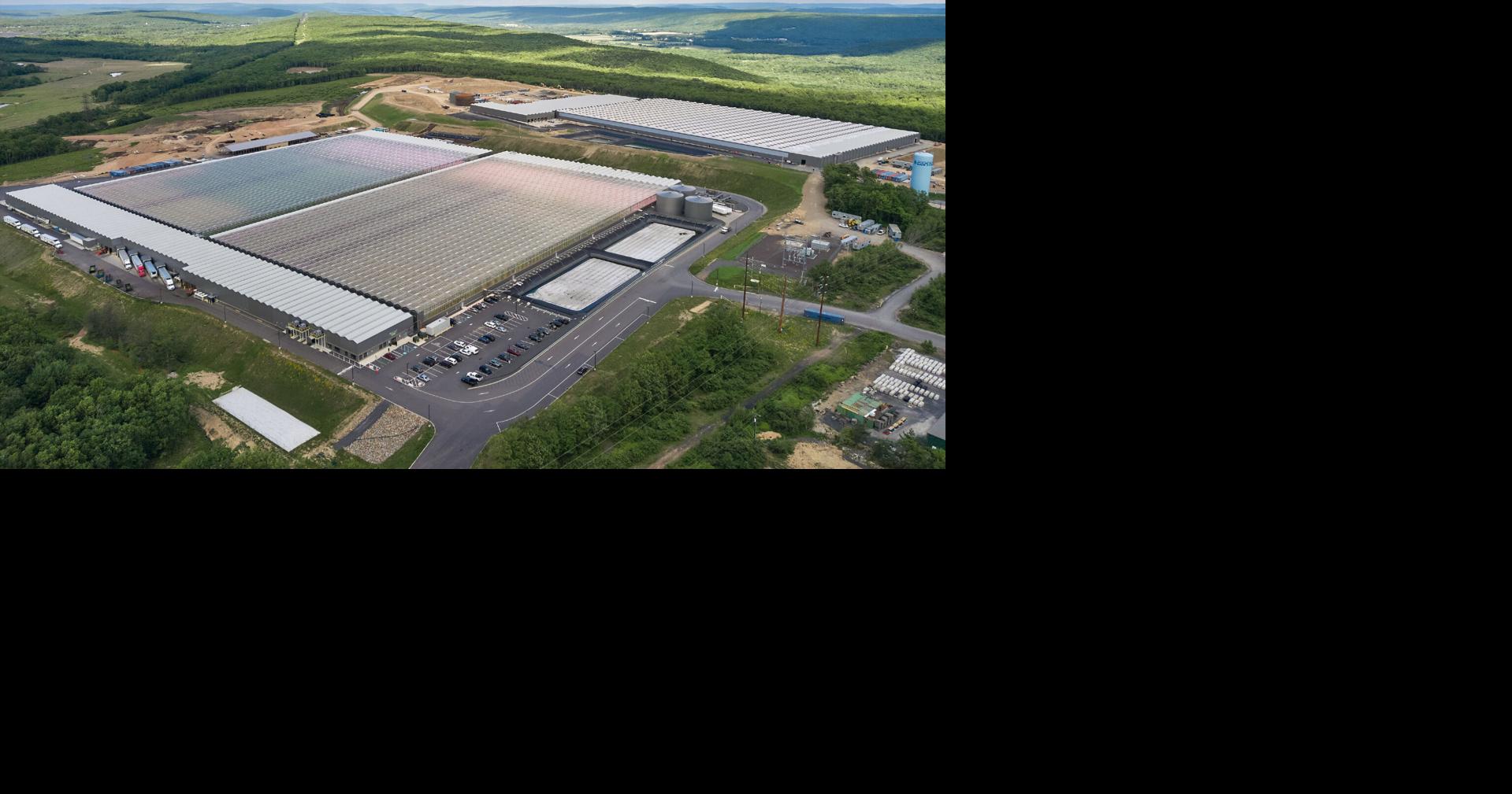 Little Leaf Farms adds greenhouse space to grow lettuce in Carbon ...