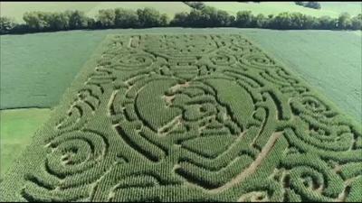 Warren County woman honors veterans with 7-acre corn maze | News | wfmz.com