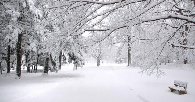 Montgomery Co. issues “Code Blue” Cold Weather Declaration ...