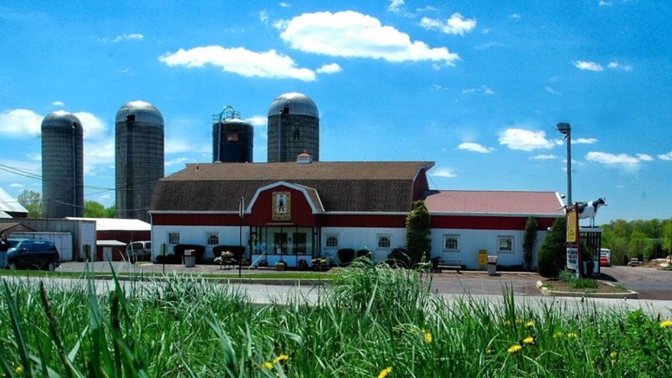 Freddy Hill Farms to close at end of 2025 season | Southeastern ...