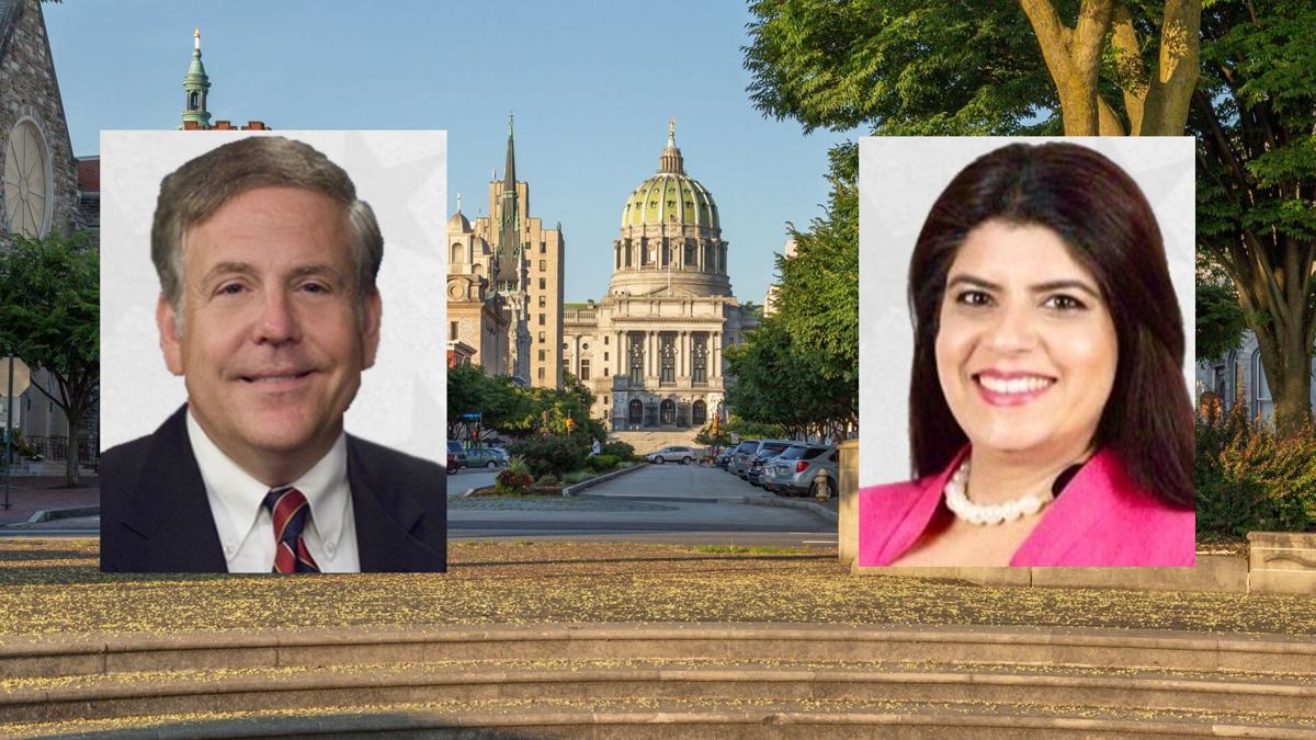 State Rep. Bob Freeman on track to beat Easton council member Taiba ...