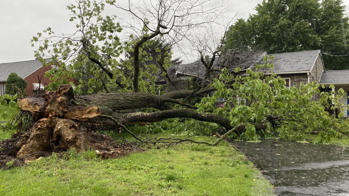 Tree falls on home during rain storm in Exeter Twp., woman and child ...