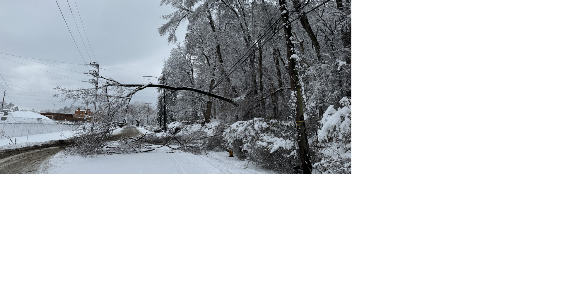 Downed trees cause Route 611 closures through Easton, Forks Township ...