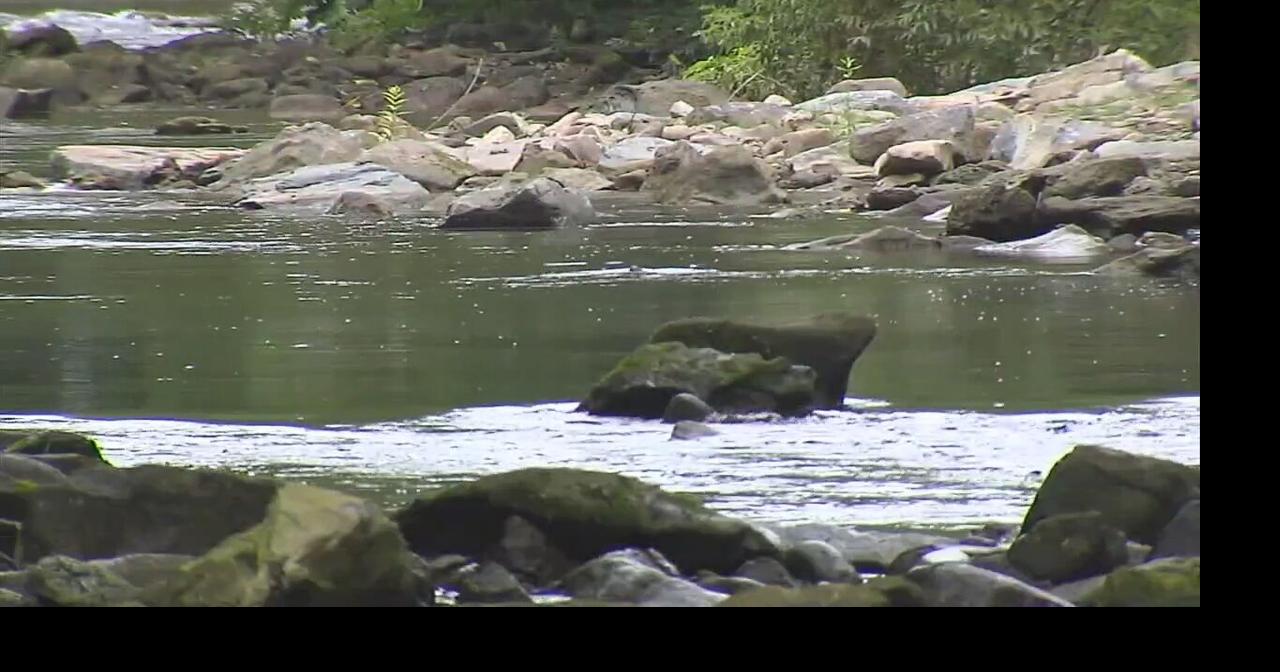 Restoration plan aims to improve Bushkill Creek | Lehigh Valley ...