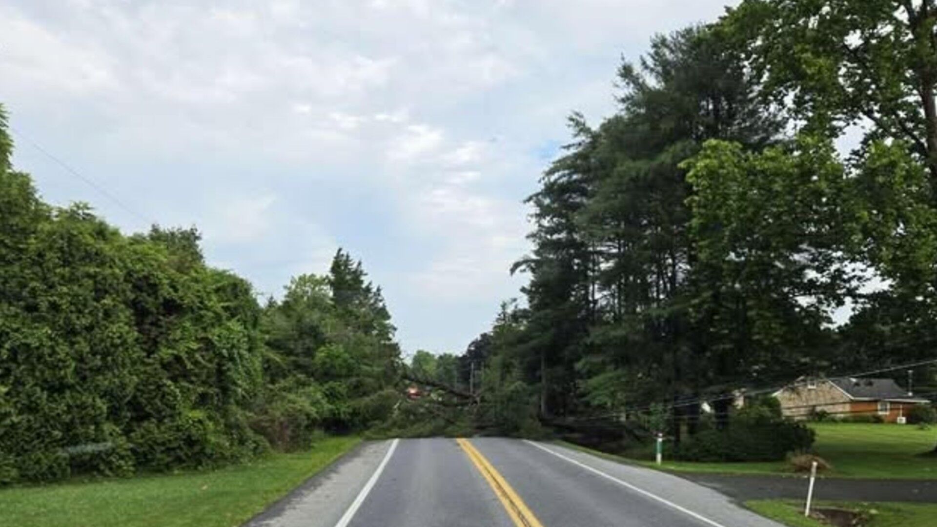 Downed tree closes Route 73 in Oley Township | Berks Regional News ...