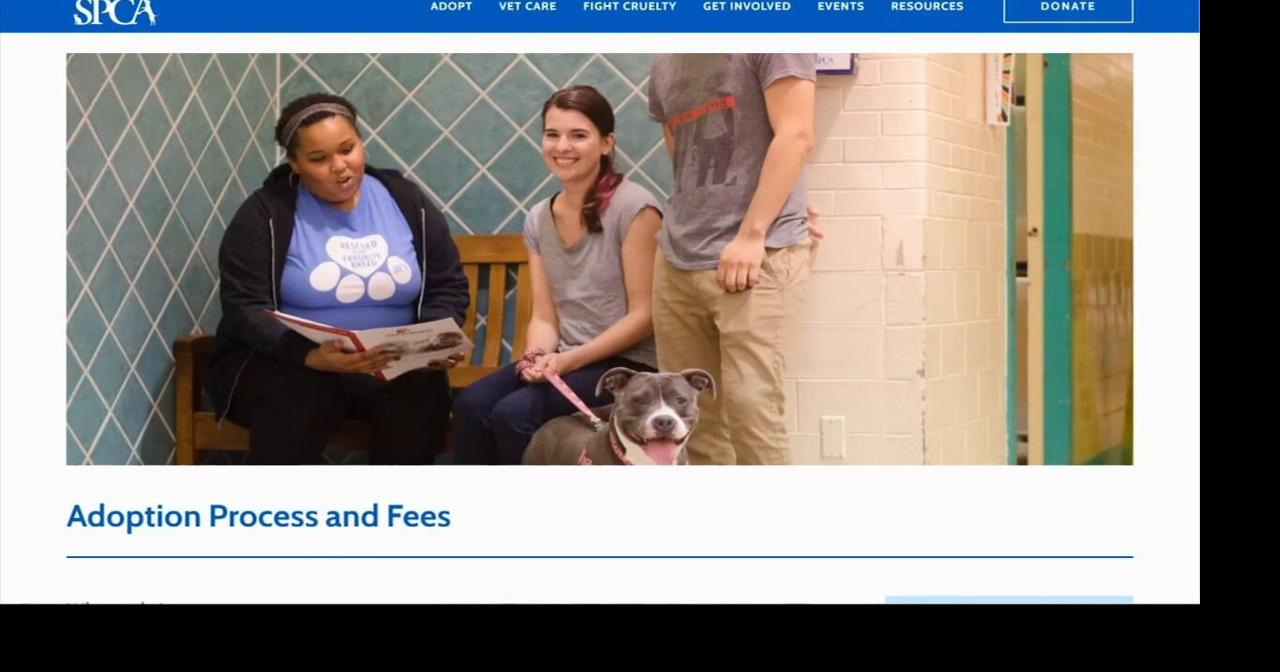 Pa. SPCA temporarily lowers dog adoption costs to $10 | Lehigh Valley ...