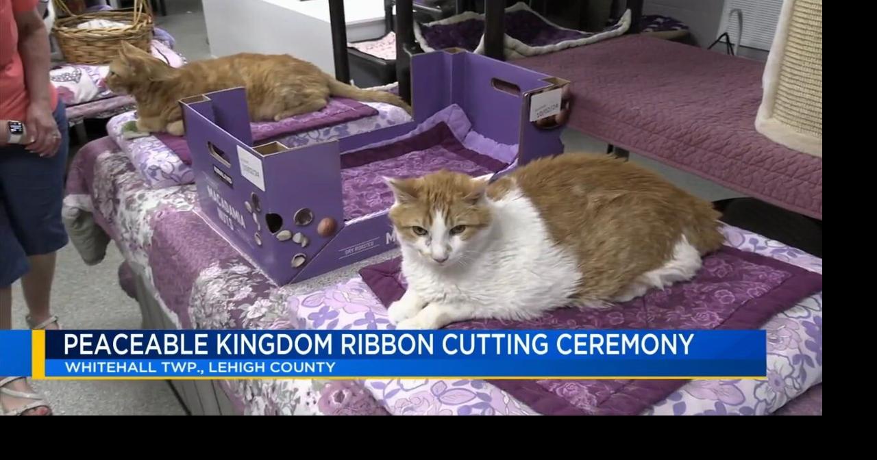 Peaceable Kingdom Animal Shelter shows off upgrades | Lehigh Valley ...