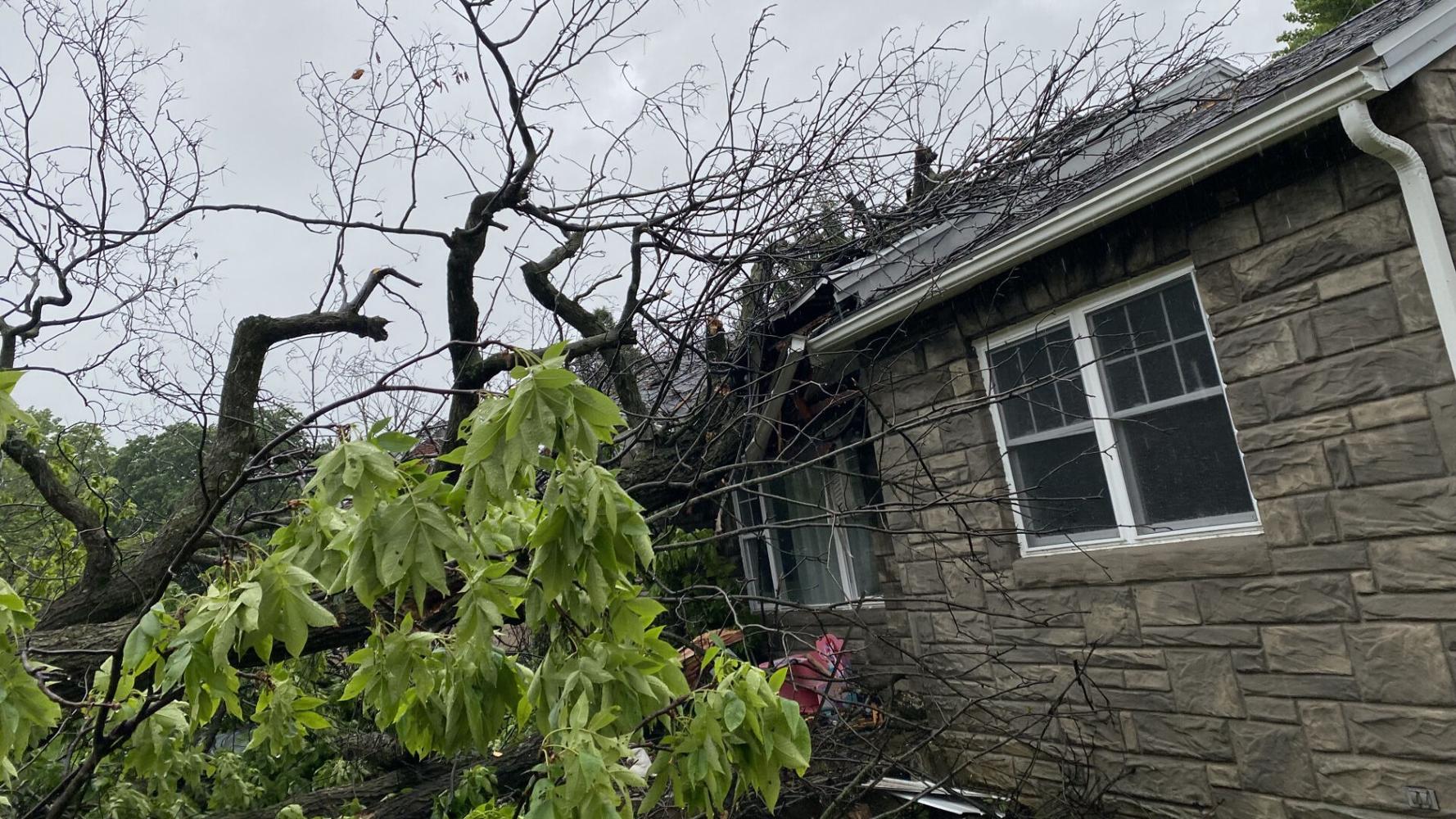 Tree falls on home during rain storm in Exeter Twp., woman and child ...