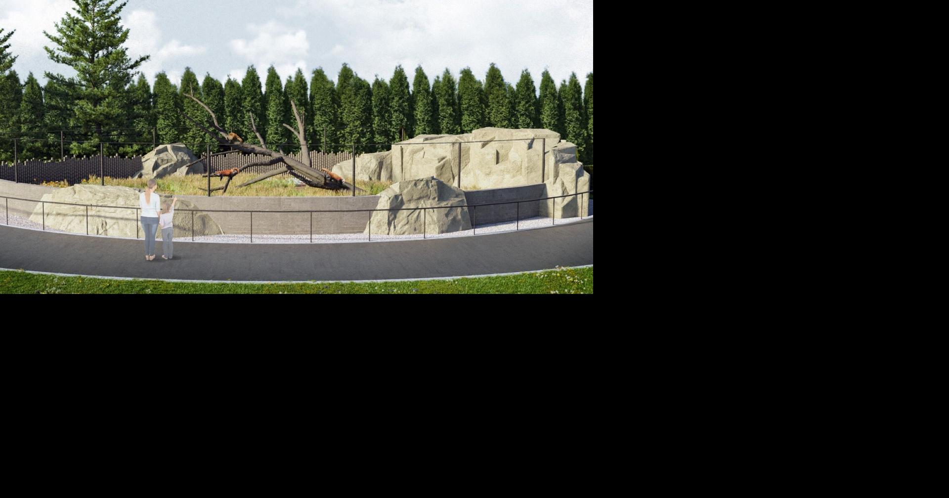 LV Zoo announces campaign to bring red pandas to zoo in 2024 | Lehigh ...