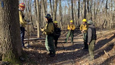 DCNR officials report Neversink Mountain fire 100% contained | Homepage ...