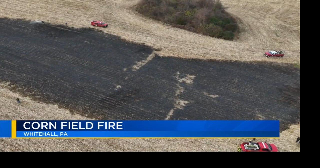 Firefighters in Whitehall fight large brush fire in a cornfield ...
