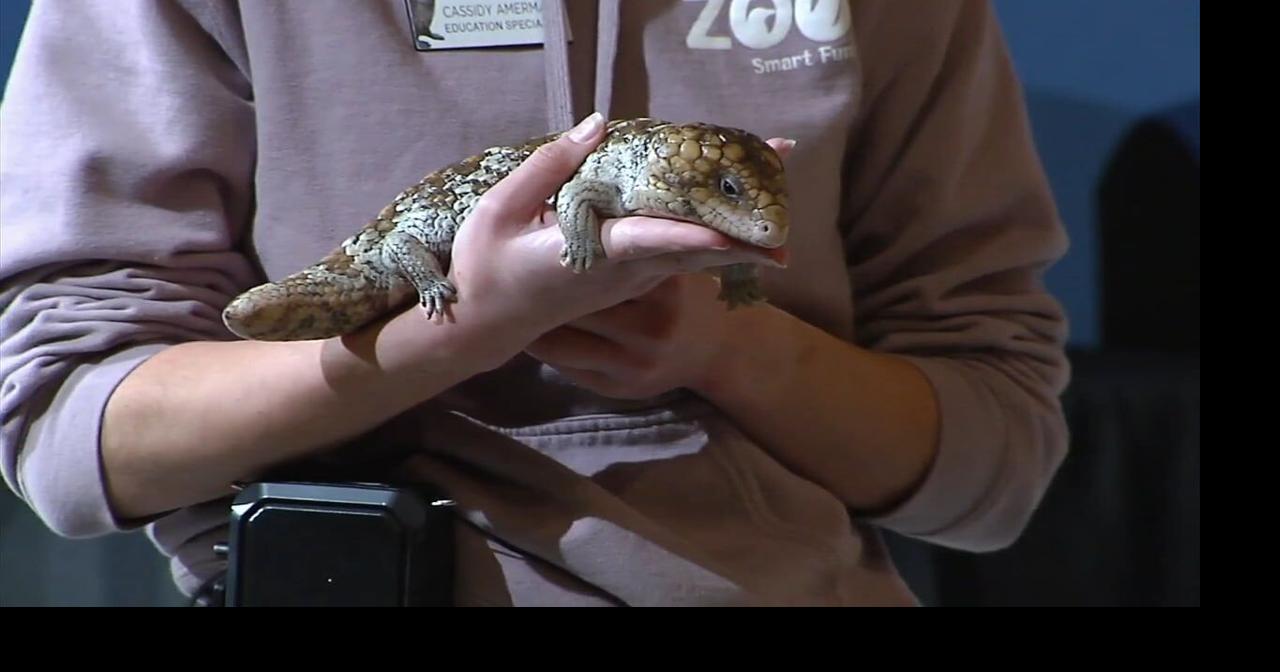 WildLife Weekend brings creatures and conservation education to DaVinci ...