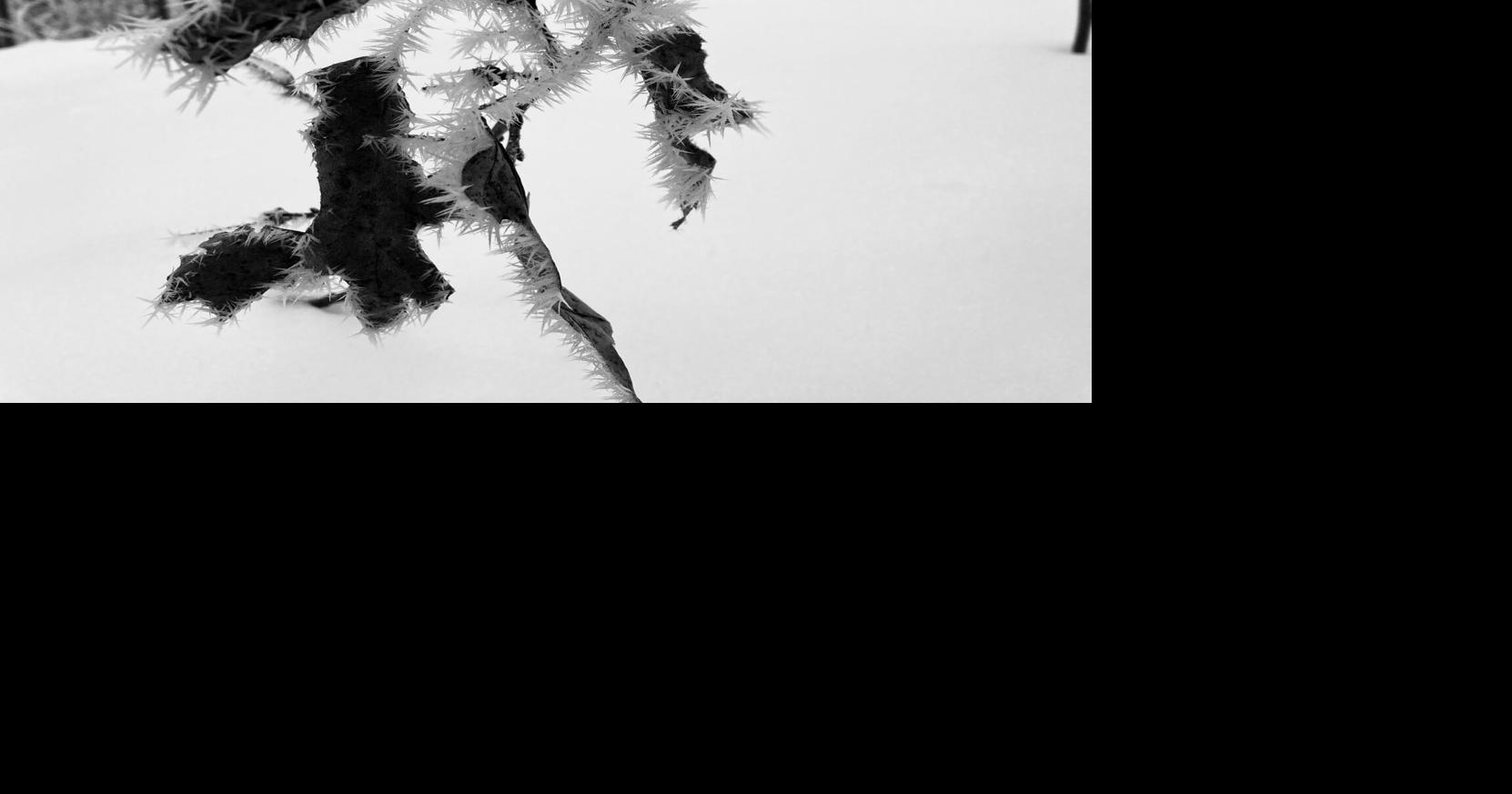 Giant icicles, fuzzy frost, and freezing fog: winter's usual weather ...