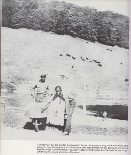 History's Headlines: Lehigh County's Camp Buffalo | History's Headlines ...