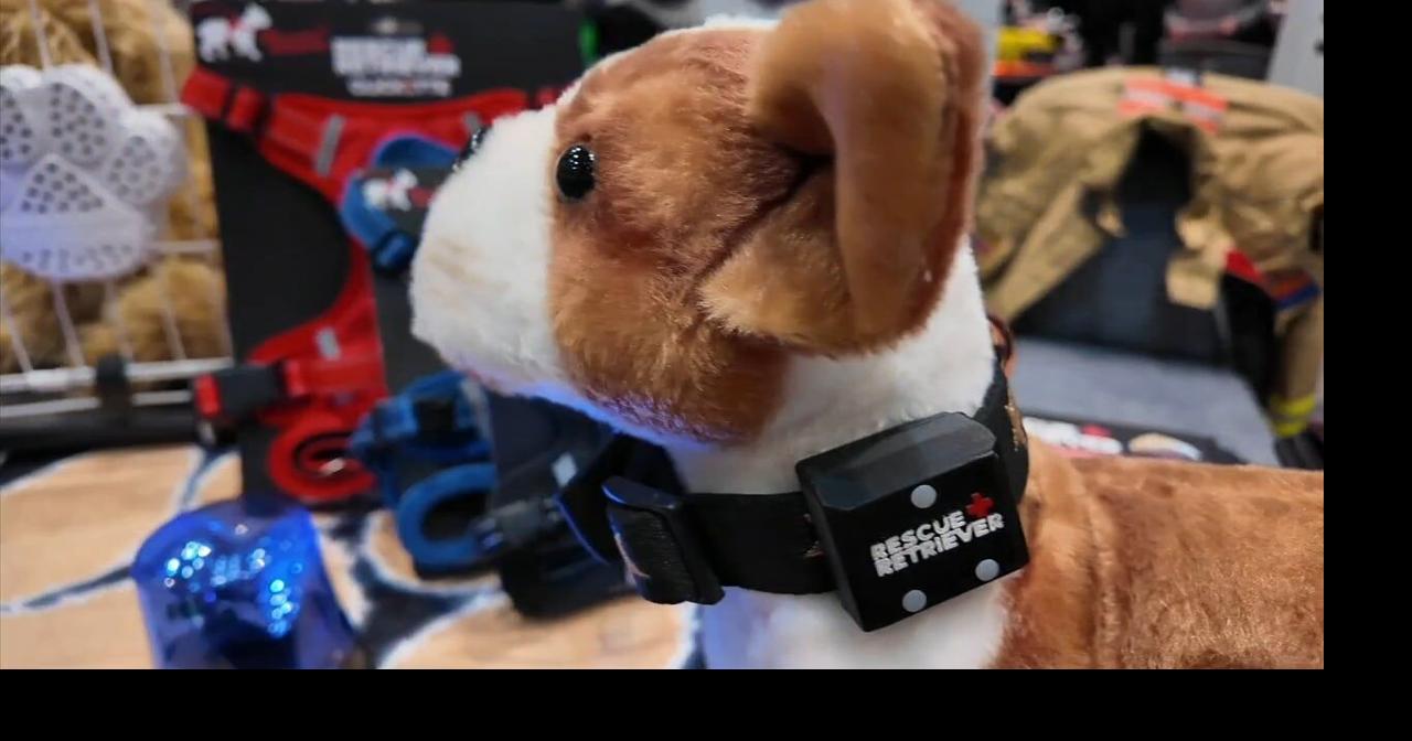 What the Tech? Simple products designed to solve everyday problems ...