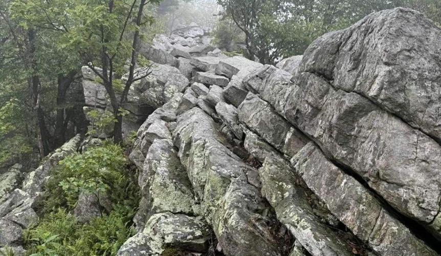 From the Susquehanna to Katahdin: A Pennsylvania thru-hiker’s journey ...