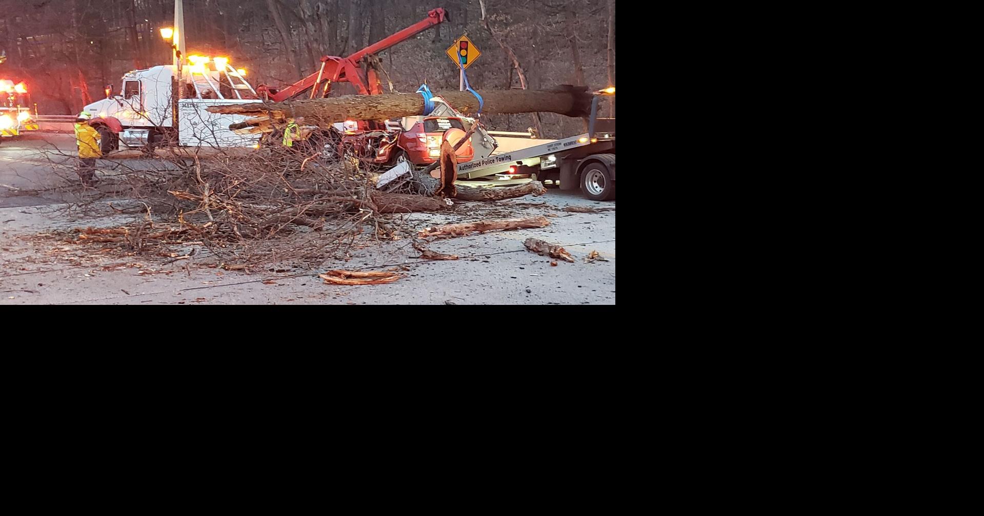Arborist to assess some trees around fatal viaduct mishap | Berks ...