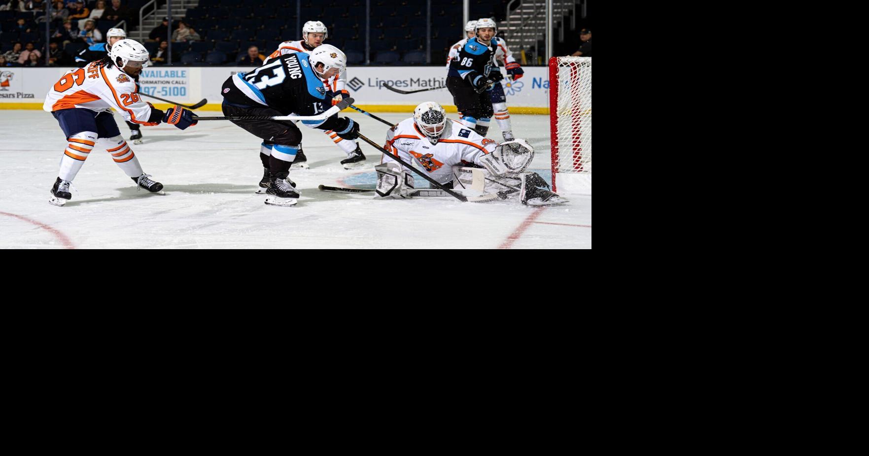 Atlanta Gladiators Defeat Swamp Rabbits in Overtime | Sports | wfmz.com