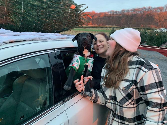 Warren Co. woman's family shares memories, as accused killer faces more ...