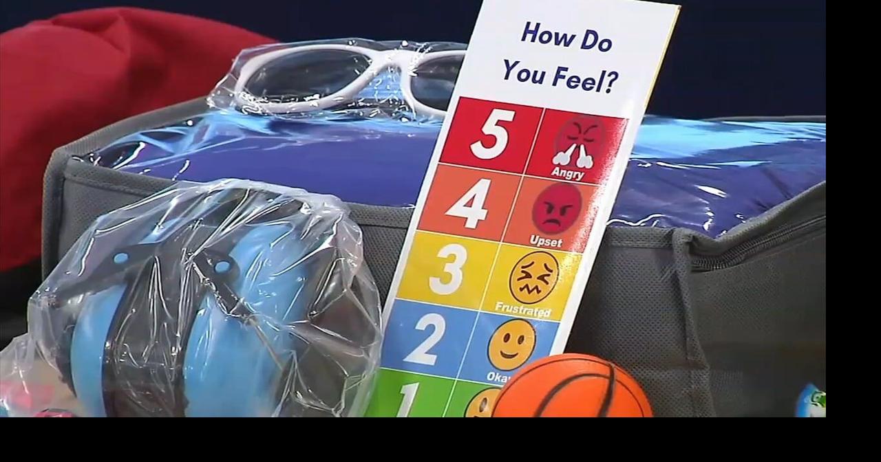 175 sensory kits for neuro-divergent patients donated by LVHN to first ...