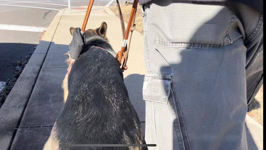 Guide school that helps raise seeing eye dogs needs help to expand ...