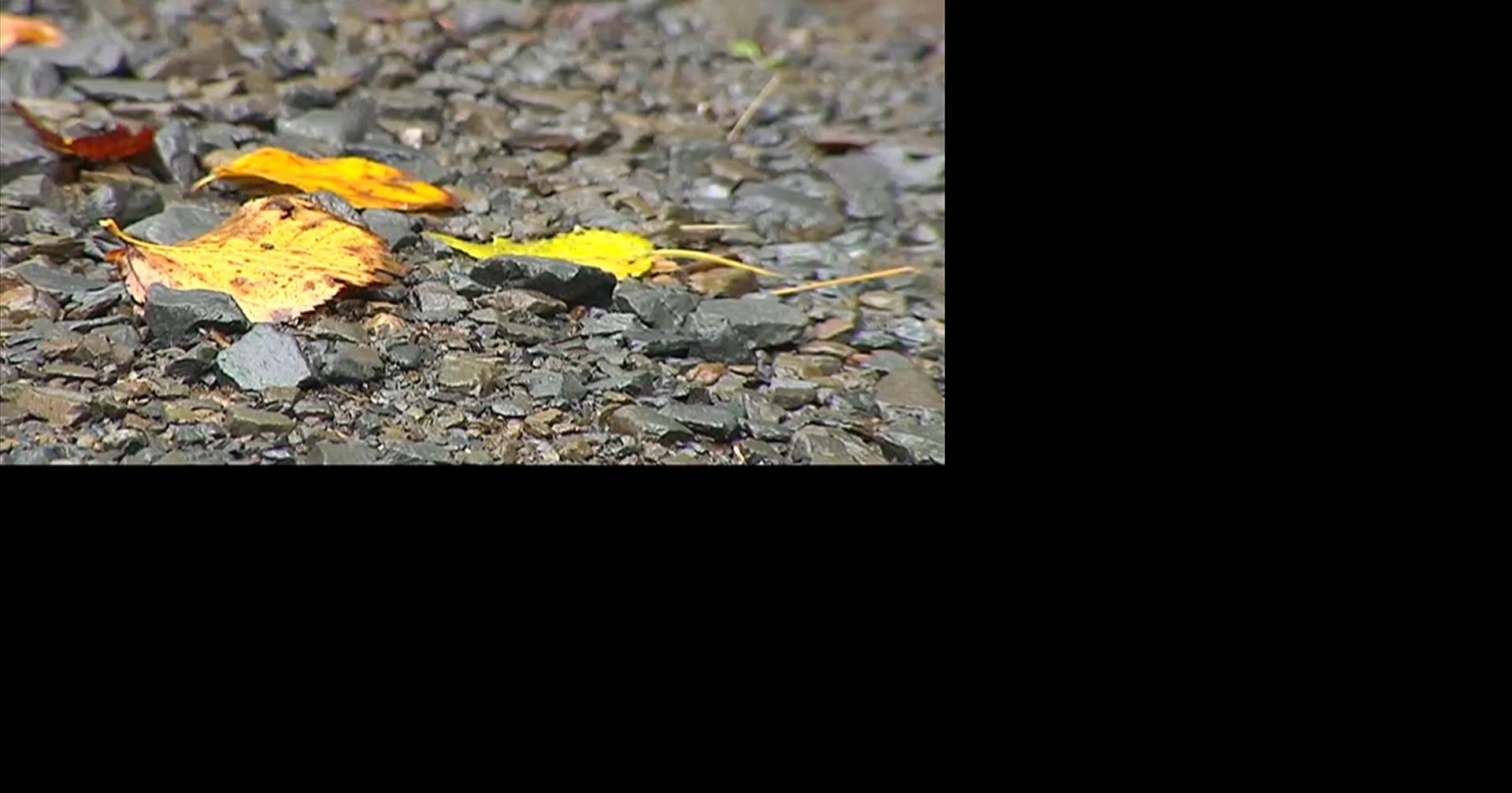 Pennsylvania Game Commission holds annual fall foliage tour | Berks ...