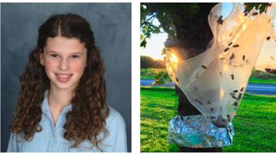 Montgomery County 9th grader wins awards for spotted lanternfly trap ...