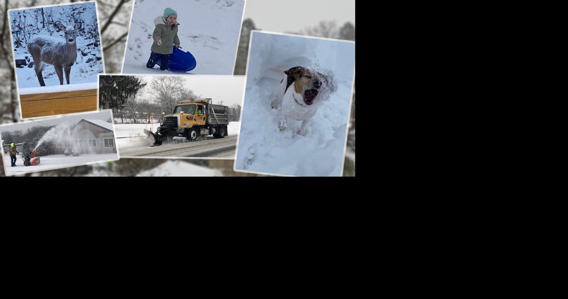 ️ PHOTOS: Storm brings widespread snow | Weather | wfmz.com